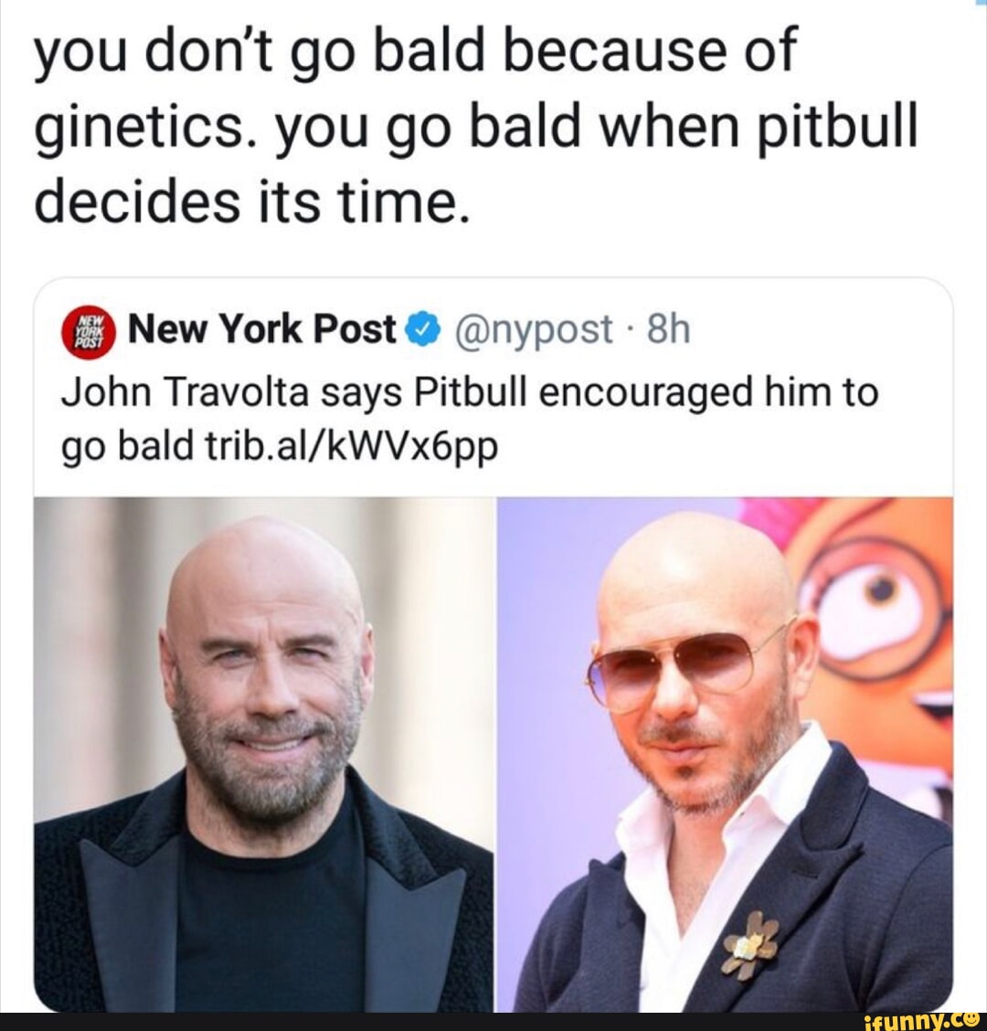You don't go bald because of ginetics. you go bald when pitbull decides ...