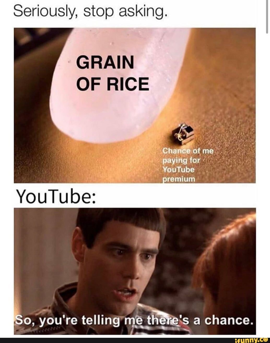 Seriously, stop asking. GRAIN OF RICE So, you're telling'mee thefeis a ...