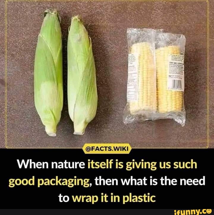 Packaging memes. Best Collection of funny Packaging pictures on iFunny