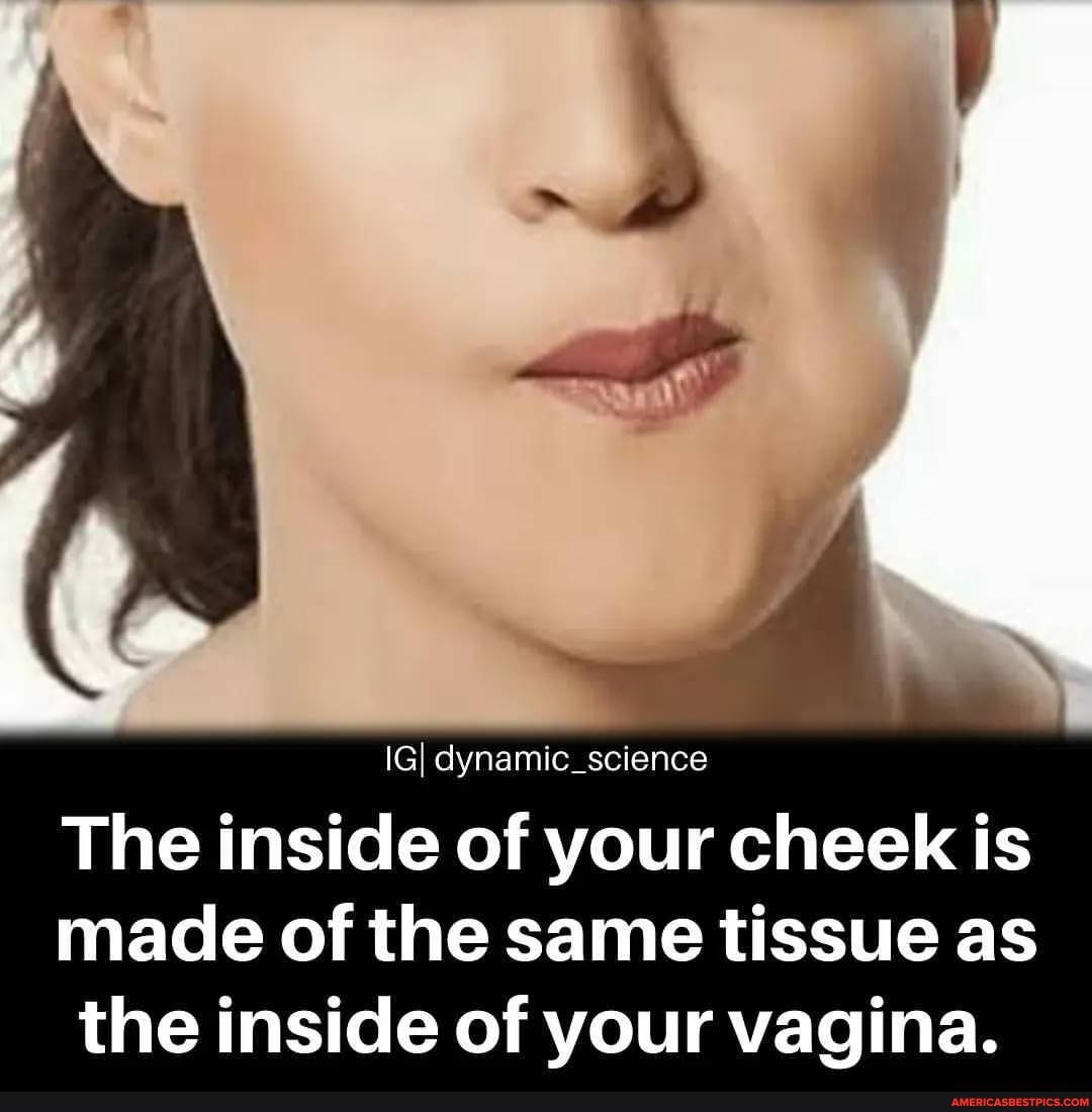 IGI dynamic_science The inside of your cheek is made of the same tissue ...