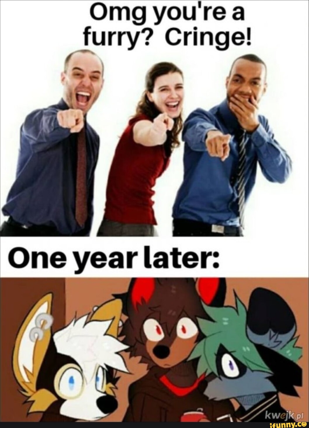 Te furry? Cringe! One year - iFunny