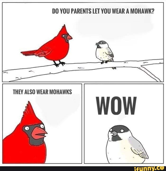 DO YOU PARENTS LET YOU WEAR A MOHAWK? - iFunny