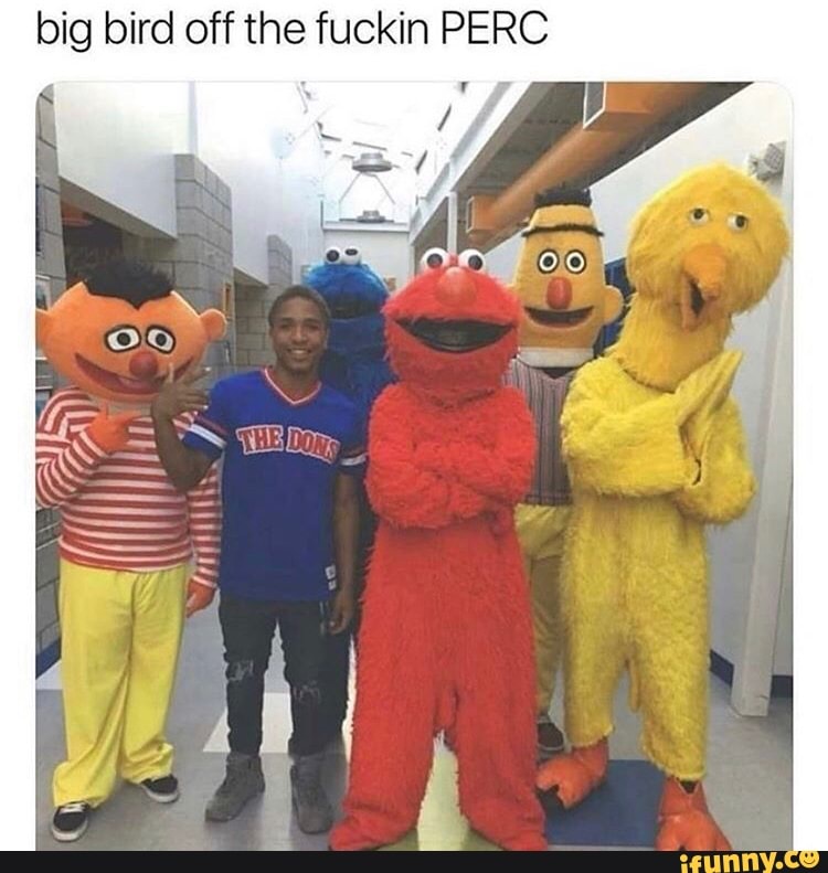 Big bird off the fuckin PERC - iFunny