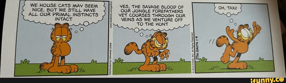 Garfieldcomic memes. Best Collection of funny Garfieldcomic pictures on ...