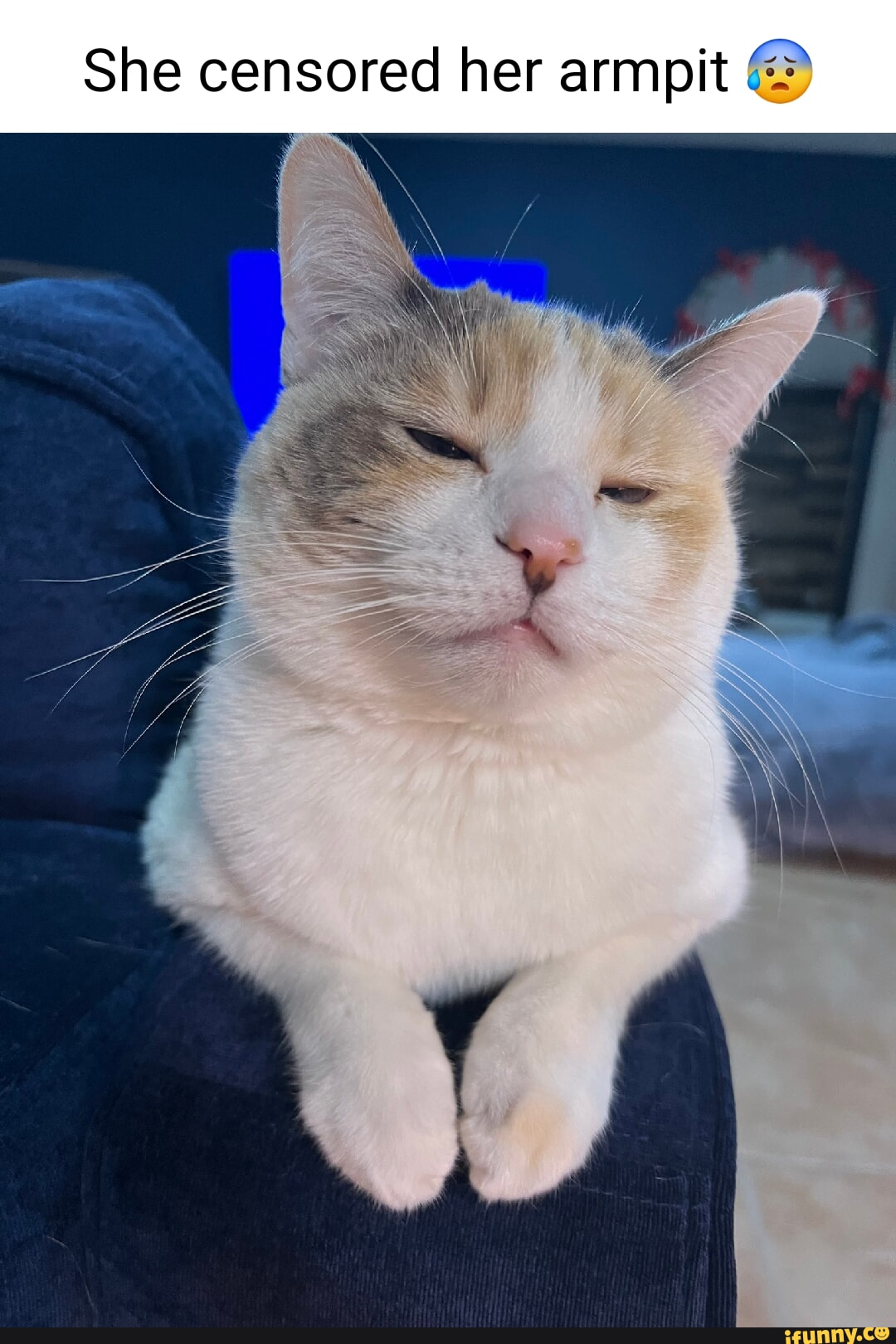 She censored her armpit I - iFunny