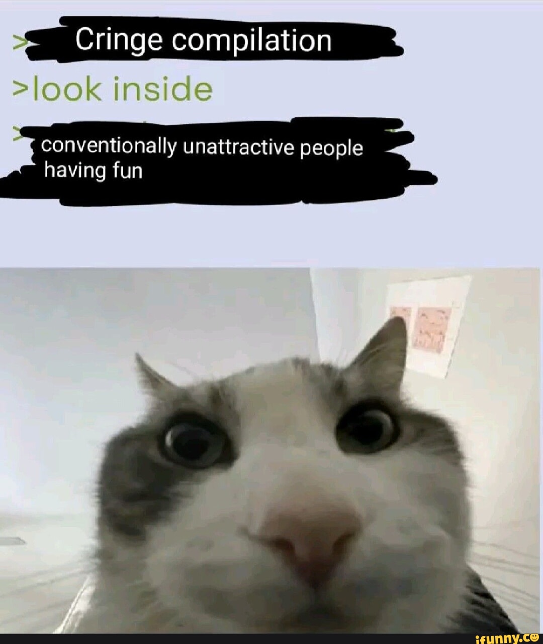Cringe >look ir >look inside conventionally unattractive people having ...