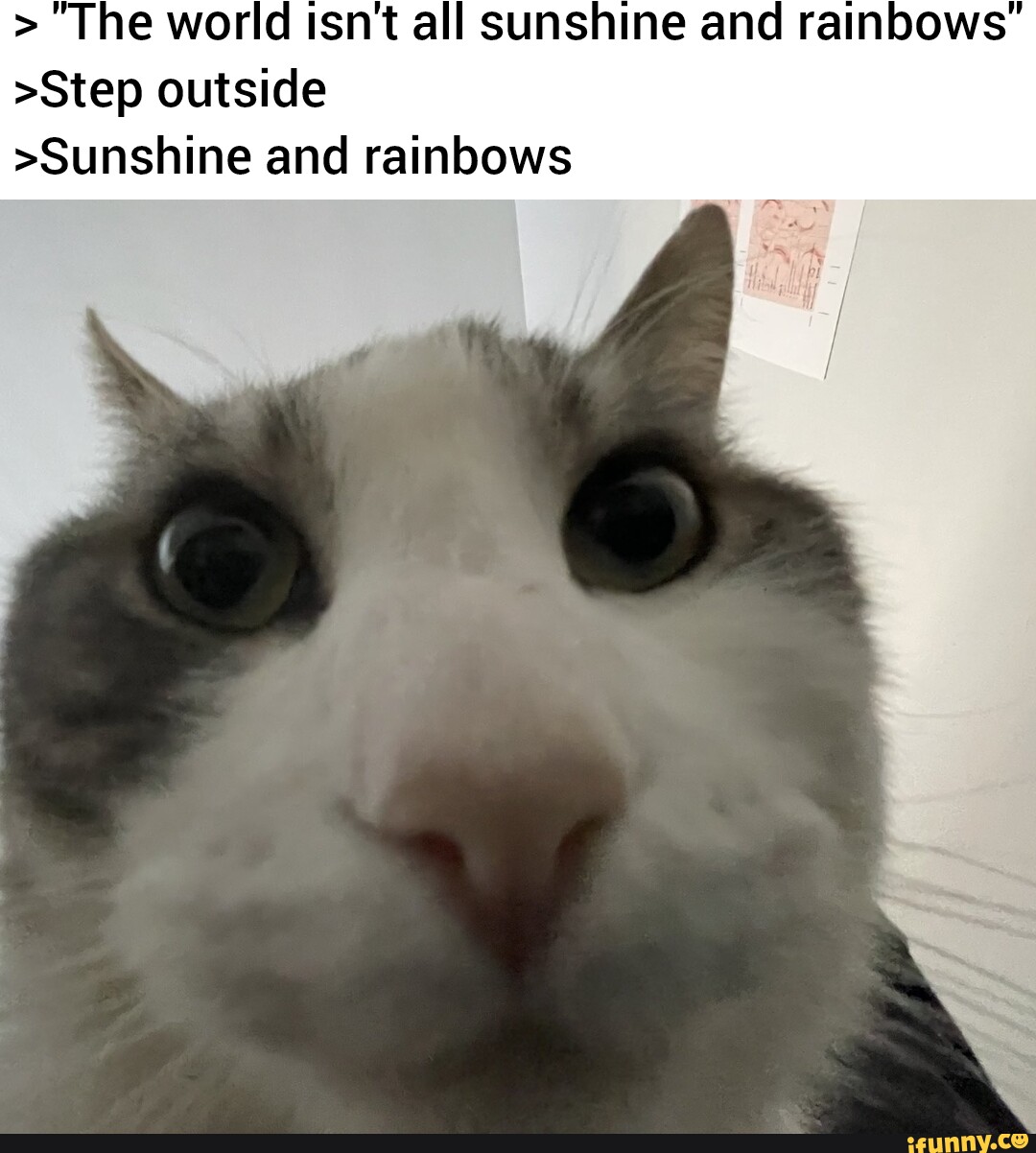 > "The world isn't all sunshine and rainbows' >Step outside >Sunshine ...