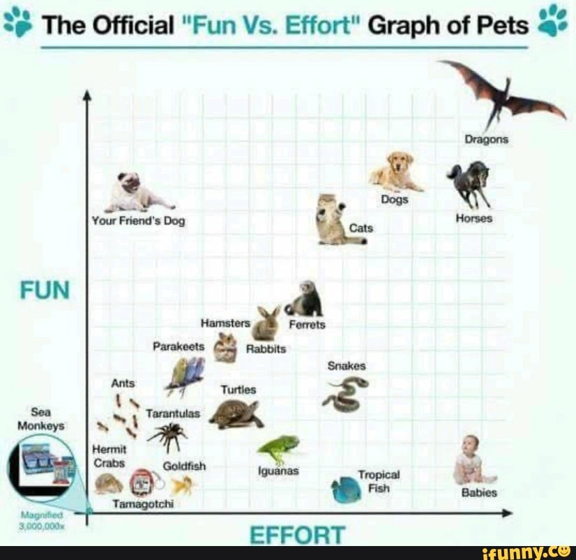 The Official "Fun Vs. Effort" Graph of Pets Cats FUN Hamsters Forrets ...