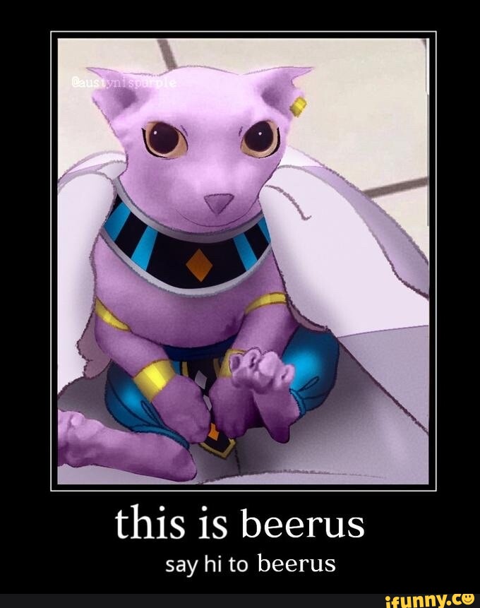 Beerus memes. Best Collection of funny Beerus pictures on iFunny