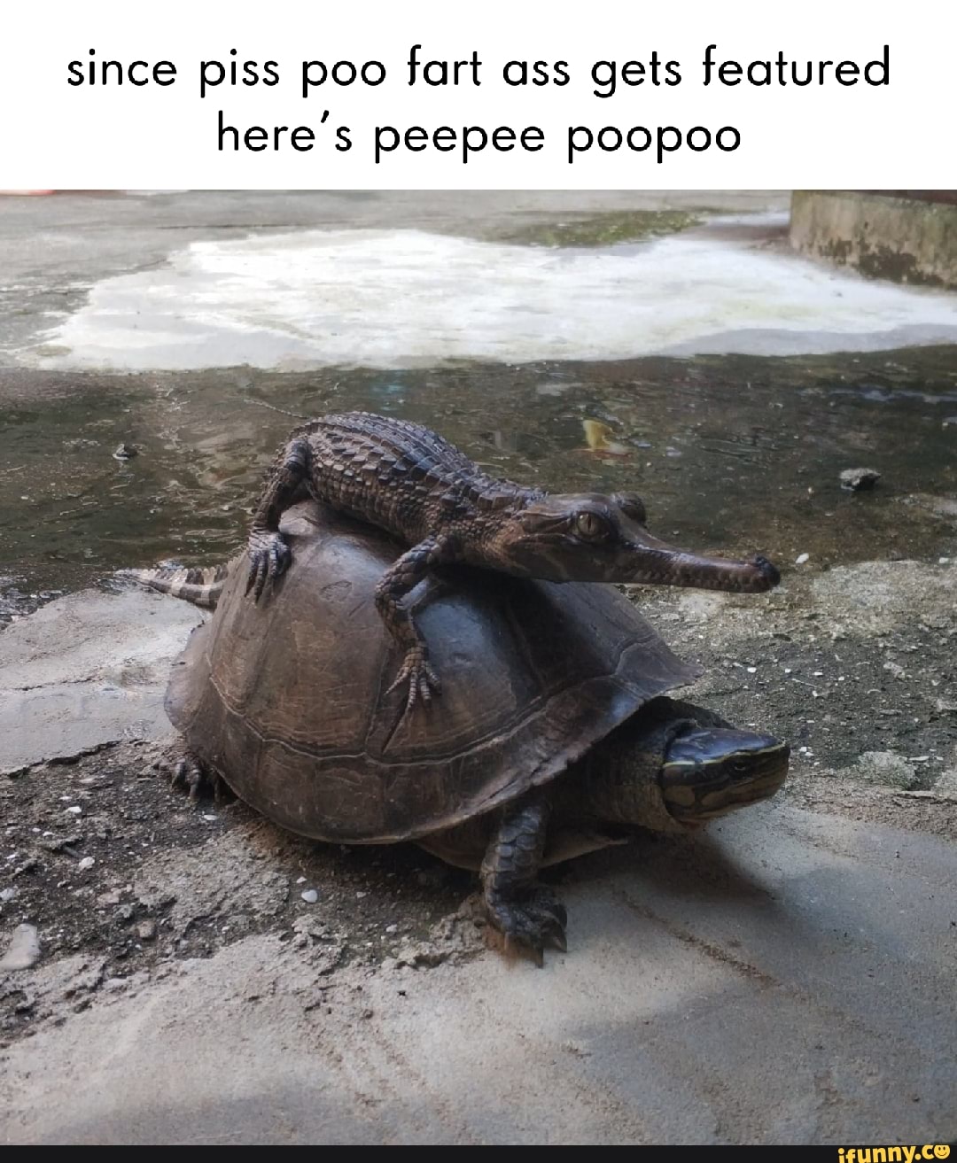 Since piss poo fart ass gets featured here's peepee poopoo - iFunny