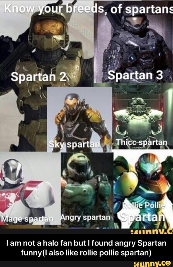 Funny Spartan Memes