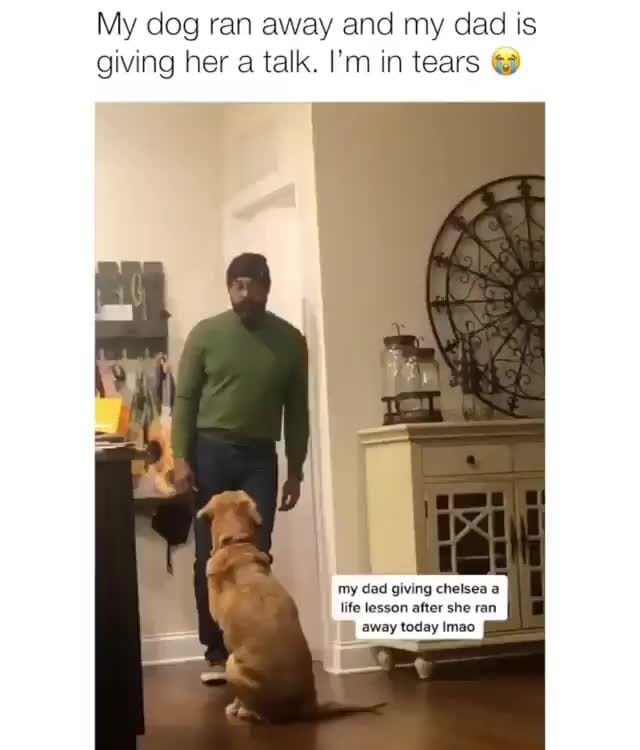 My dog ran away and my dad is giving her a talk. I'm in tears my dad ...