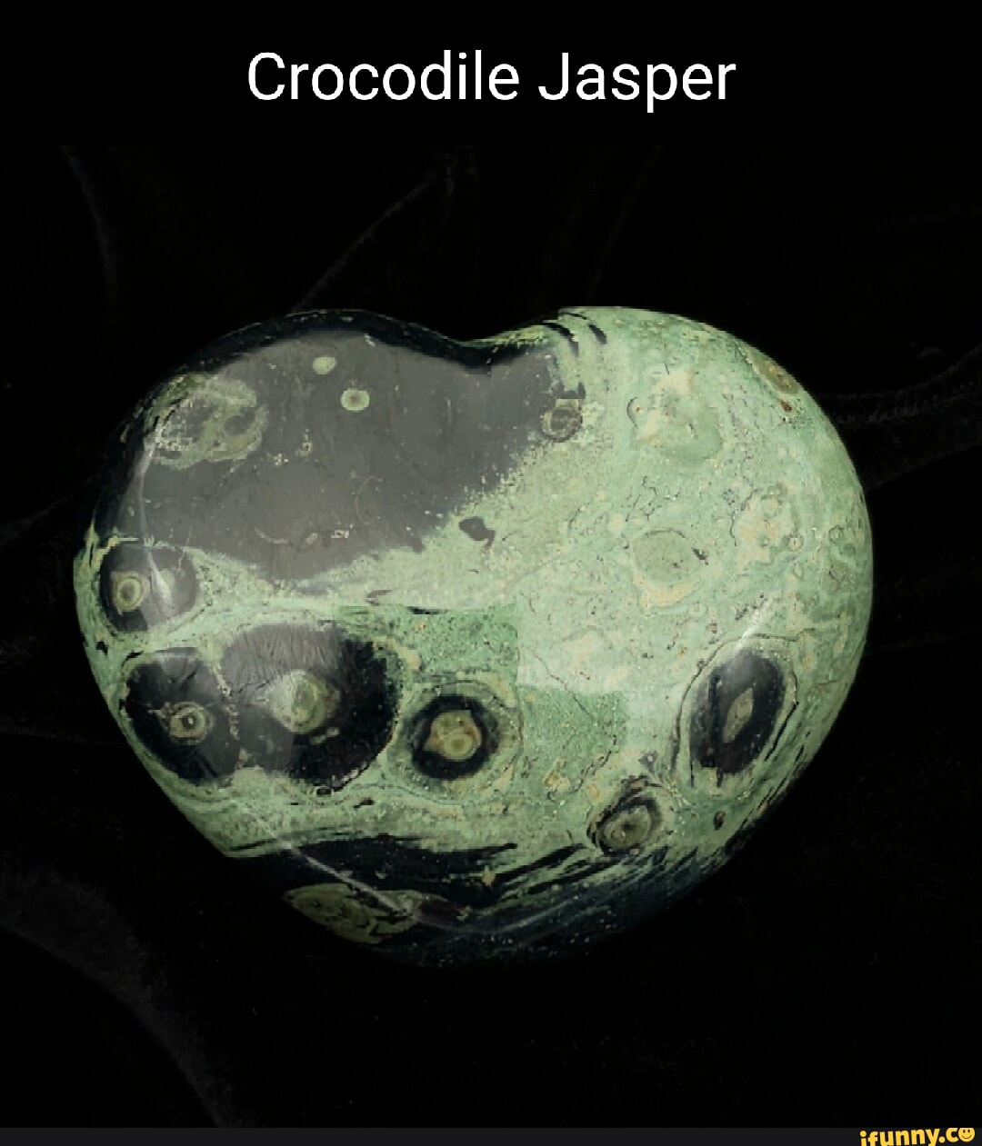 Jasper memes. Best Collection of funny Jasper pictures on iFunny