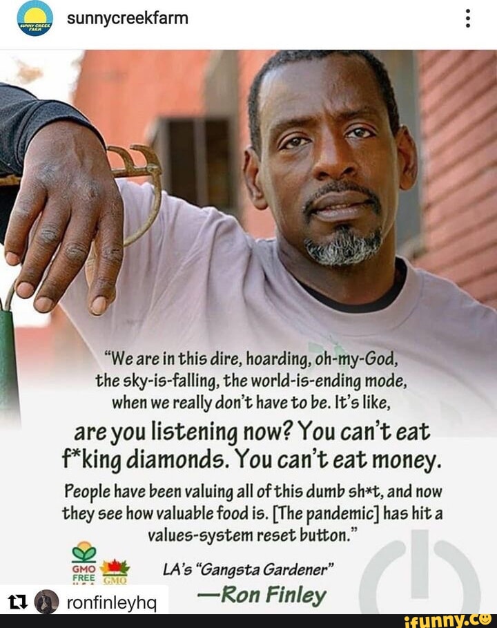 Hoarding memes. Best Collection of funny Hoarding pictures on iFunny