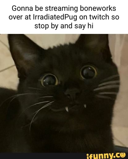 Boneworks memes. Best Collection of funny Boneworks pictures on iFunny