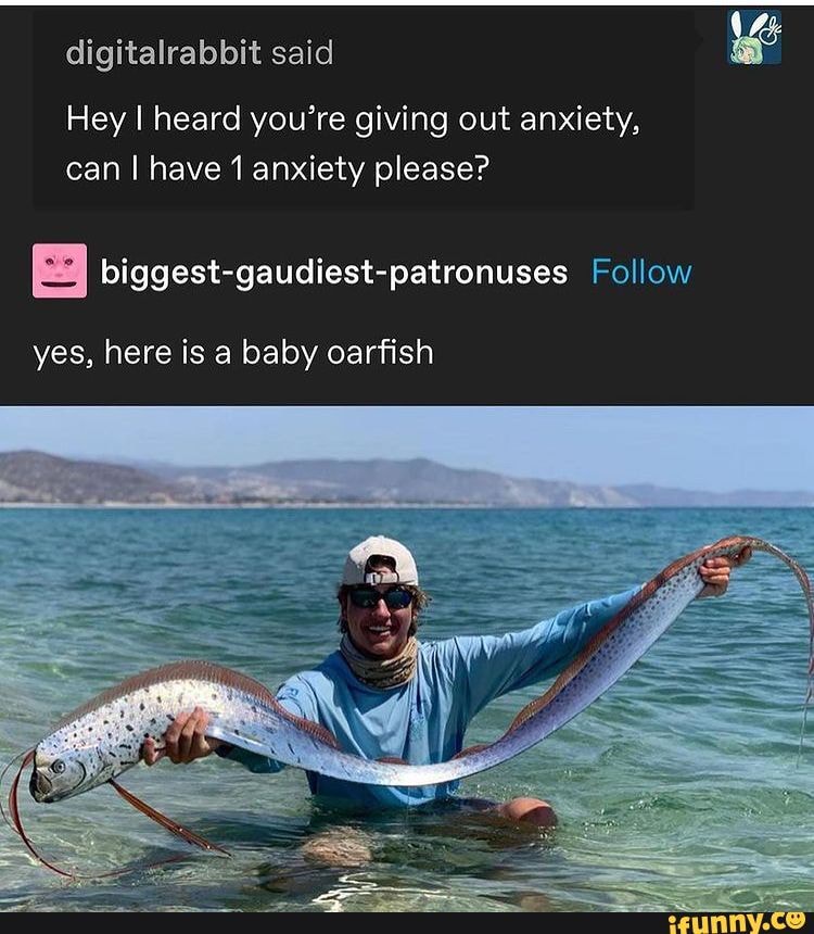 Oarfish memes. Best Collection of funny Oarfish pictures on iFunny
