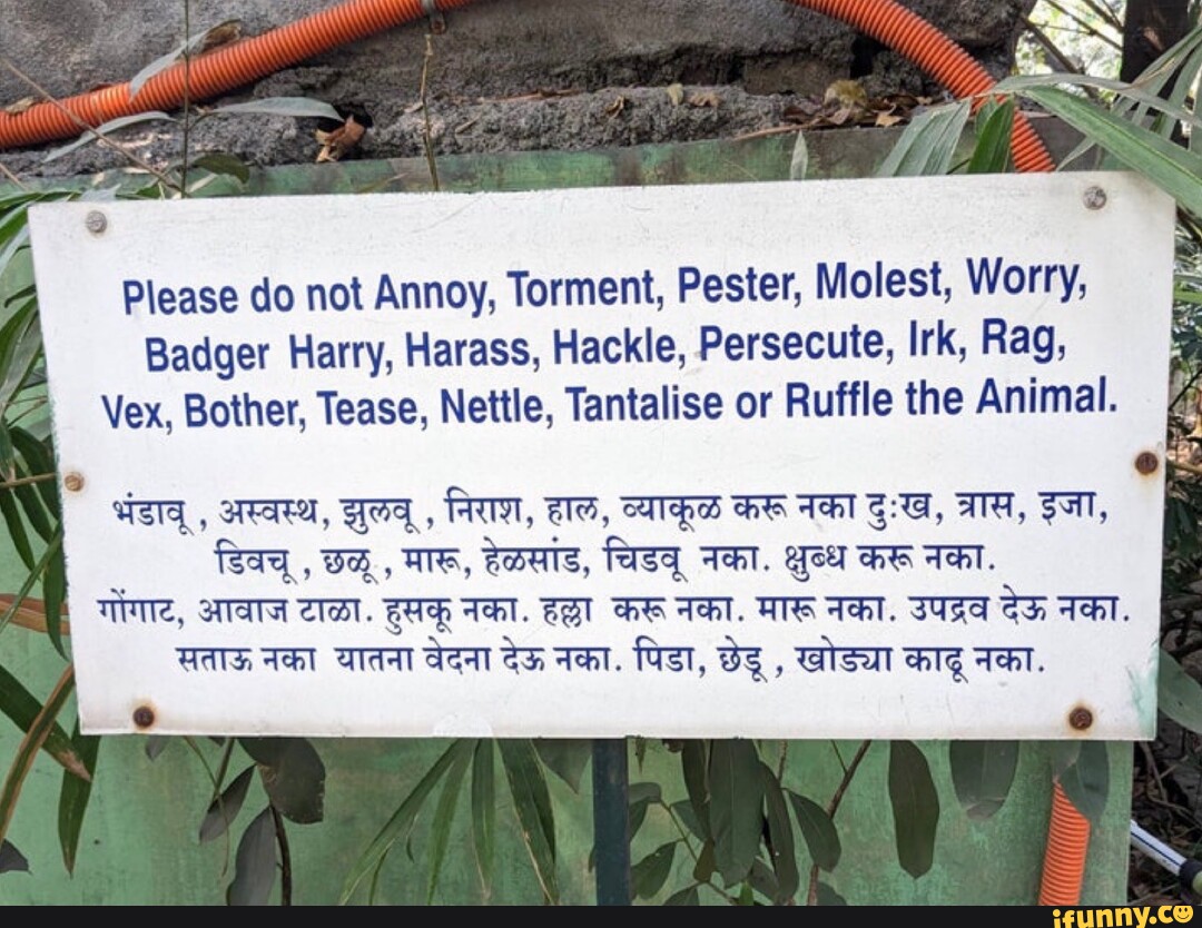 Please do not Annoy, Torment, Pester, Molest, Worry, Badger Harry ...