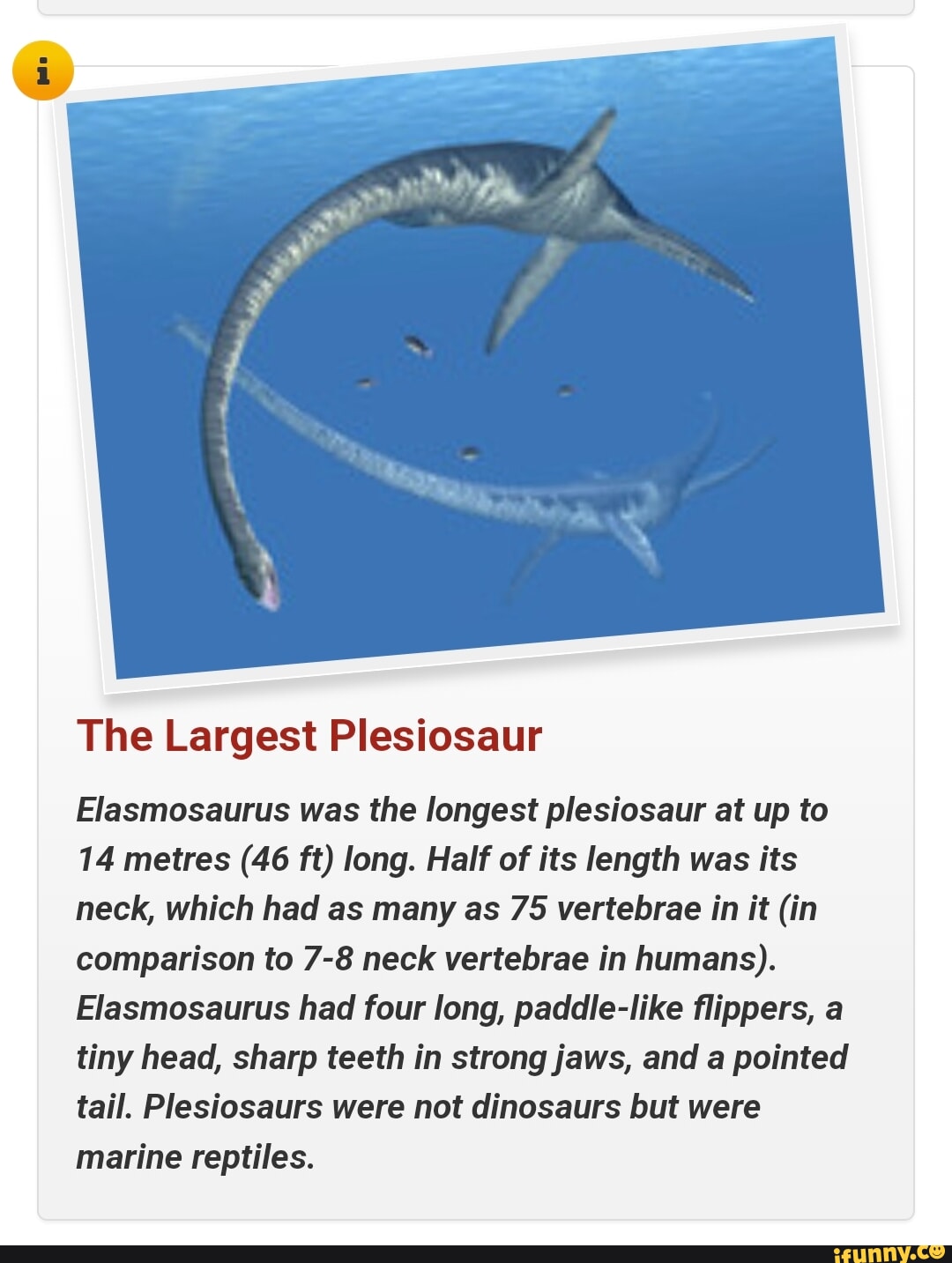 The Largest Plesiosaur Elasmosaurus was the longest plesiosaur at up to ...