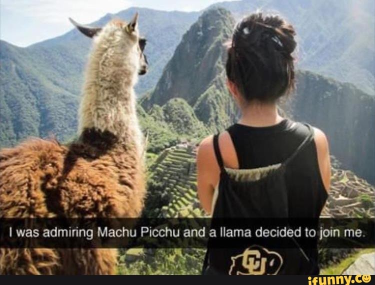 Machu memes. Best Collection of funny Machu pictures on iFunny