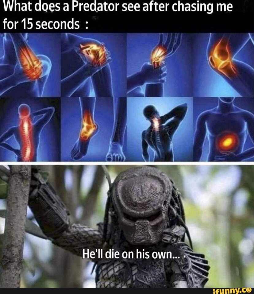 What does a Predator see after chasing me for 15 seconds : He'll die on ...