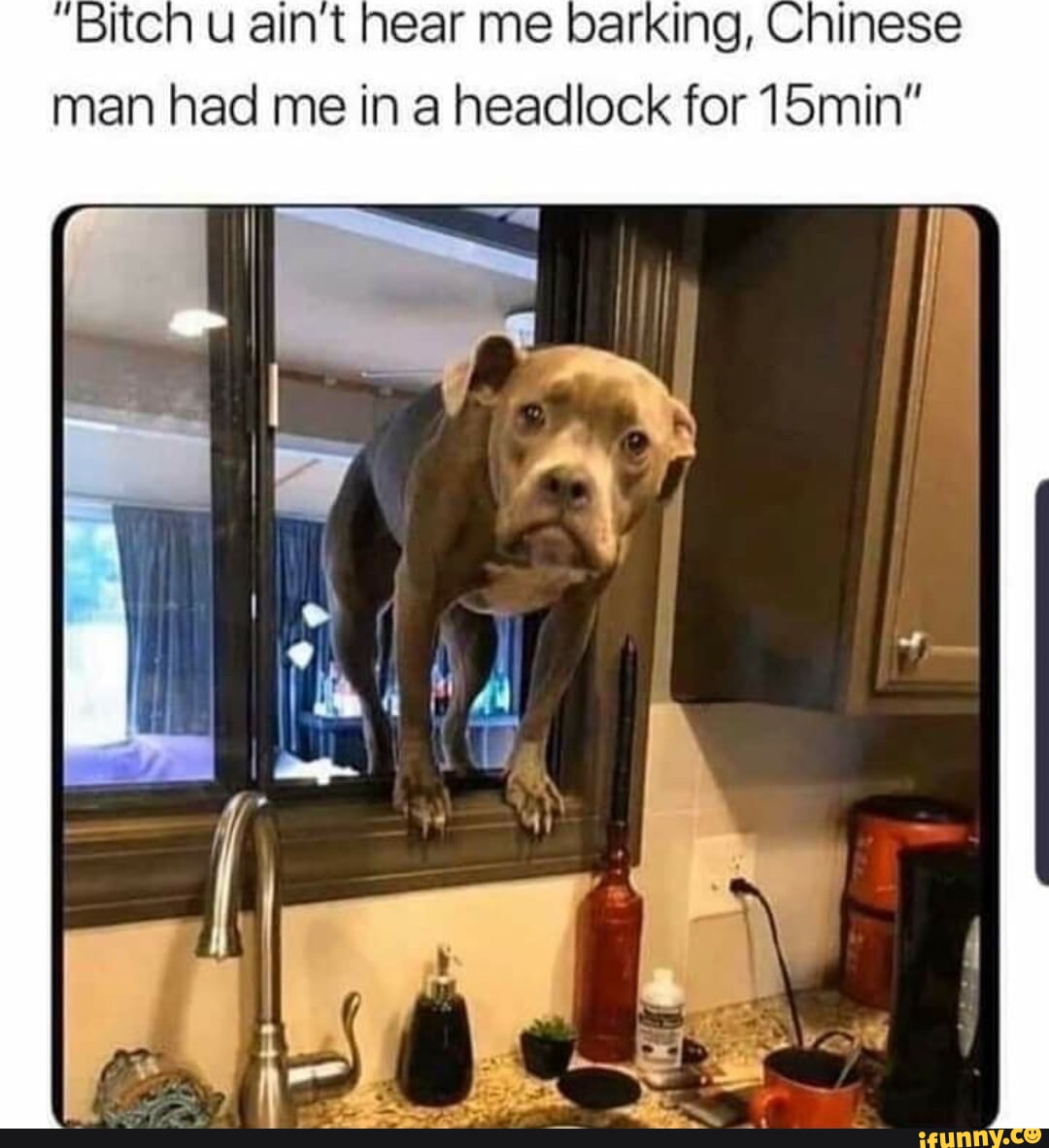 Headlock memes. Best Collection of funny Headlock pictures on iFunny