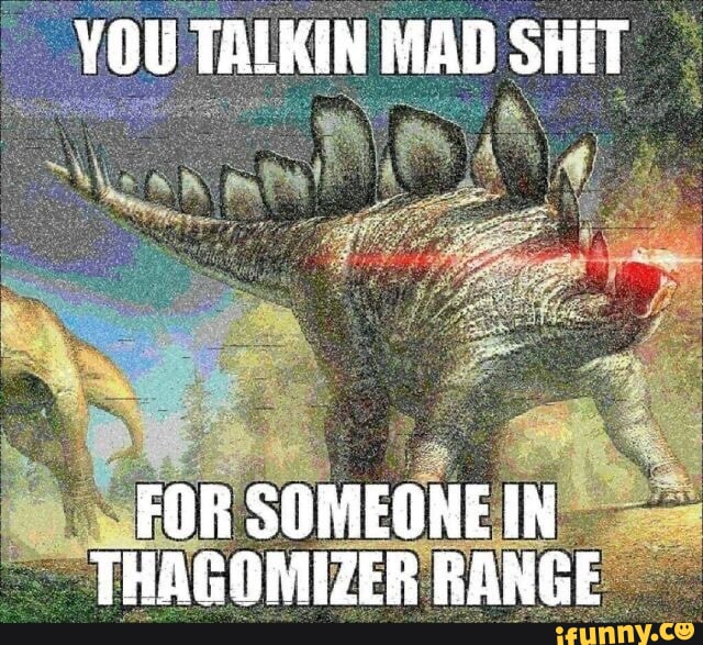 YOU TALKIN MAD SiiT FOR SOMEONE IN THAGOMIZER RANGE - iFunny