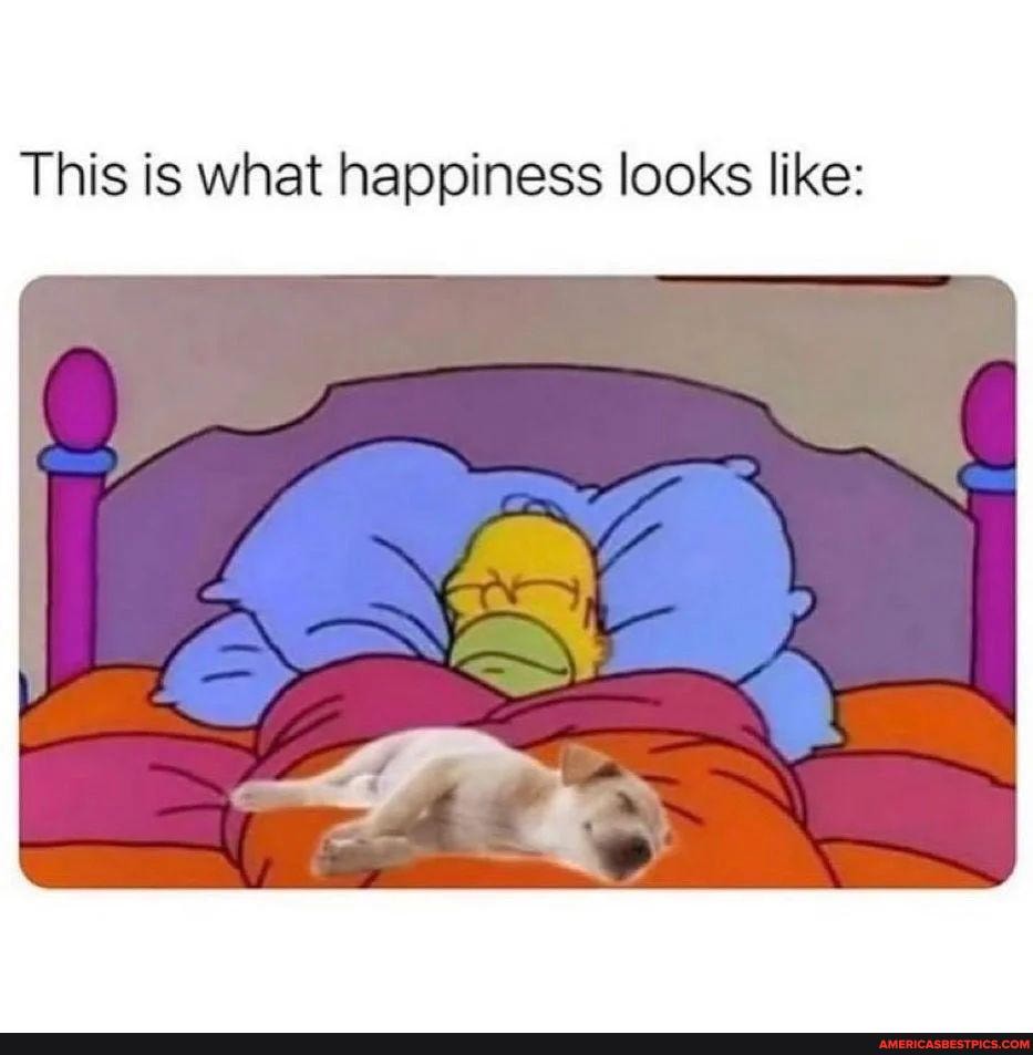 Agreed 😛 Follow @wholesomebeeches for everyday memes! . . #memes #meme ...