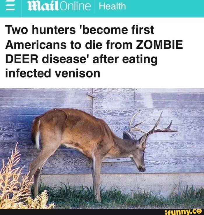 = Wail Health Two hunters 'become first Americans to die from ZOMBIE ...