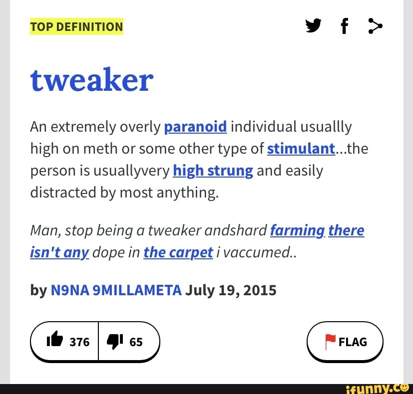 Tweaker Meaning