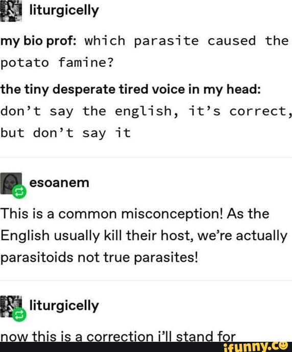 Parasite memes. Best Collection of funny Parasite pictures on iFunny