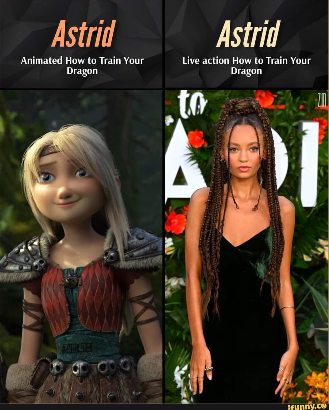 Astrid Astrid Animated How To Train Your Dragon Live Action How To