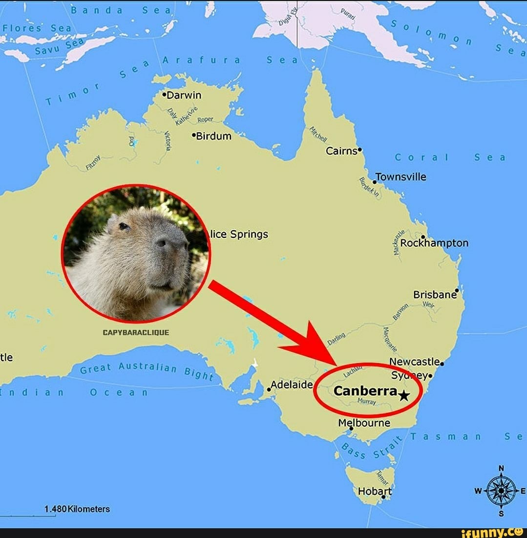 Rockhampton memes. Best Collection of funny Rockhampton pictures on iFunny