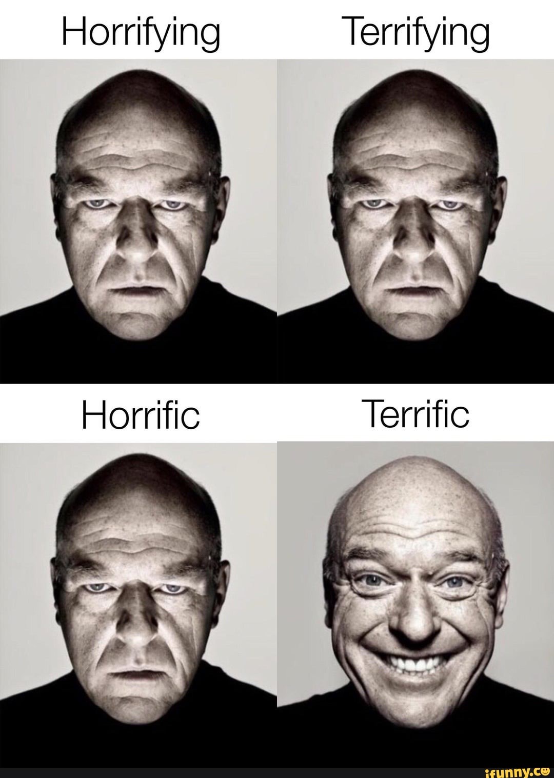 Horrifying Terrifying Horrific Terrific - iFunny