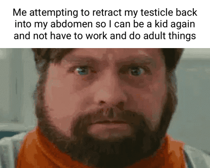 Testicle memes. Best Collection of funny Testicle pictures on iFunny