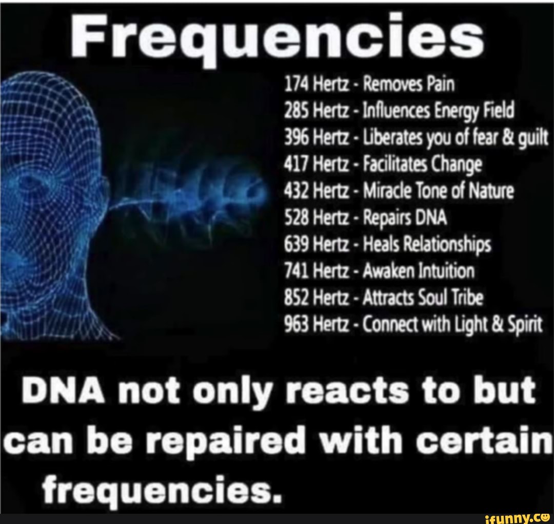 Hertz memes. Best Collection of funny Hertz pictures on iFunny