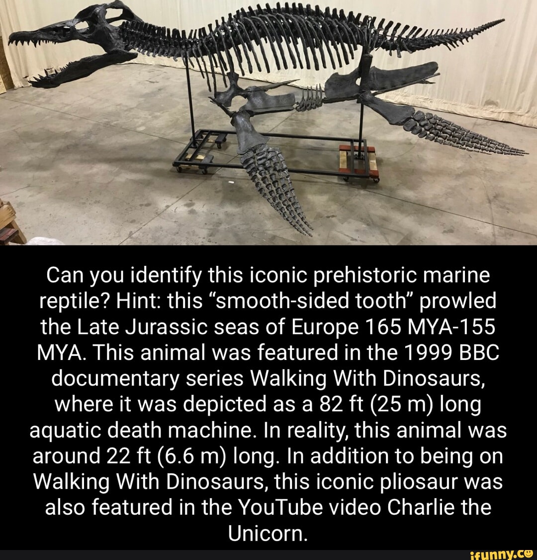 Pliosaur memes. Best Collection of funny Pliosaur pictures on iFunny
