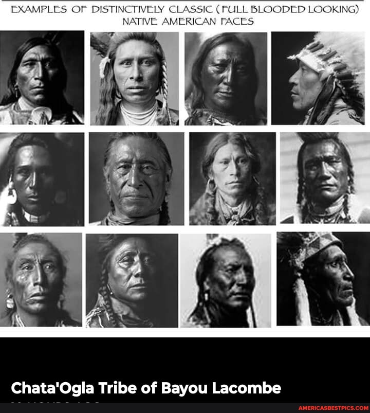 EXAMPLES OF DISTINCTIVELY CLASSIC (FULL BLOODED LOOKING) NATIVE ...