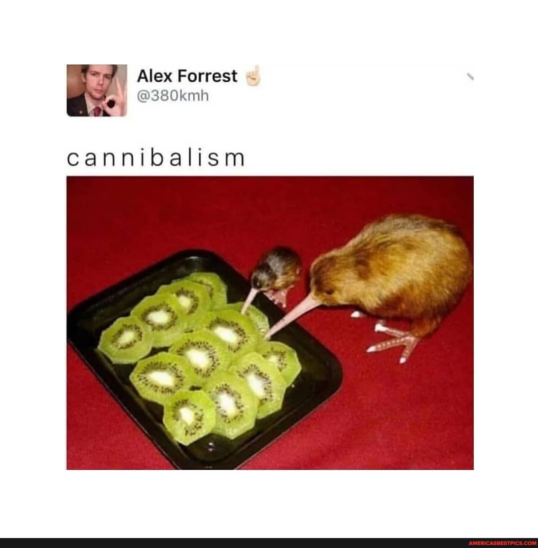 Alex Forrest cannibalism - America’s best pics and videos