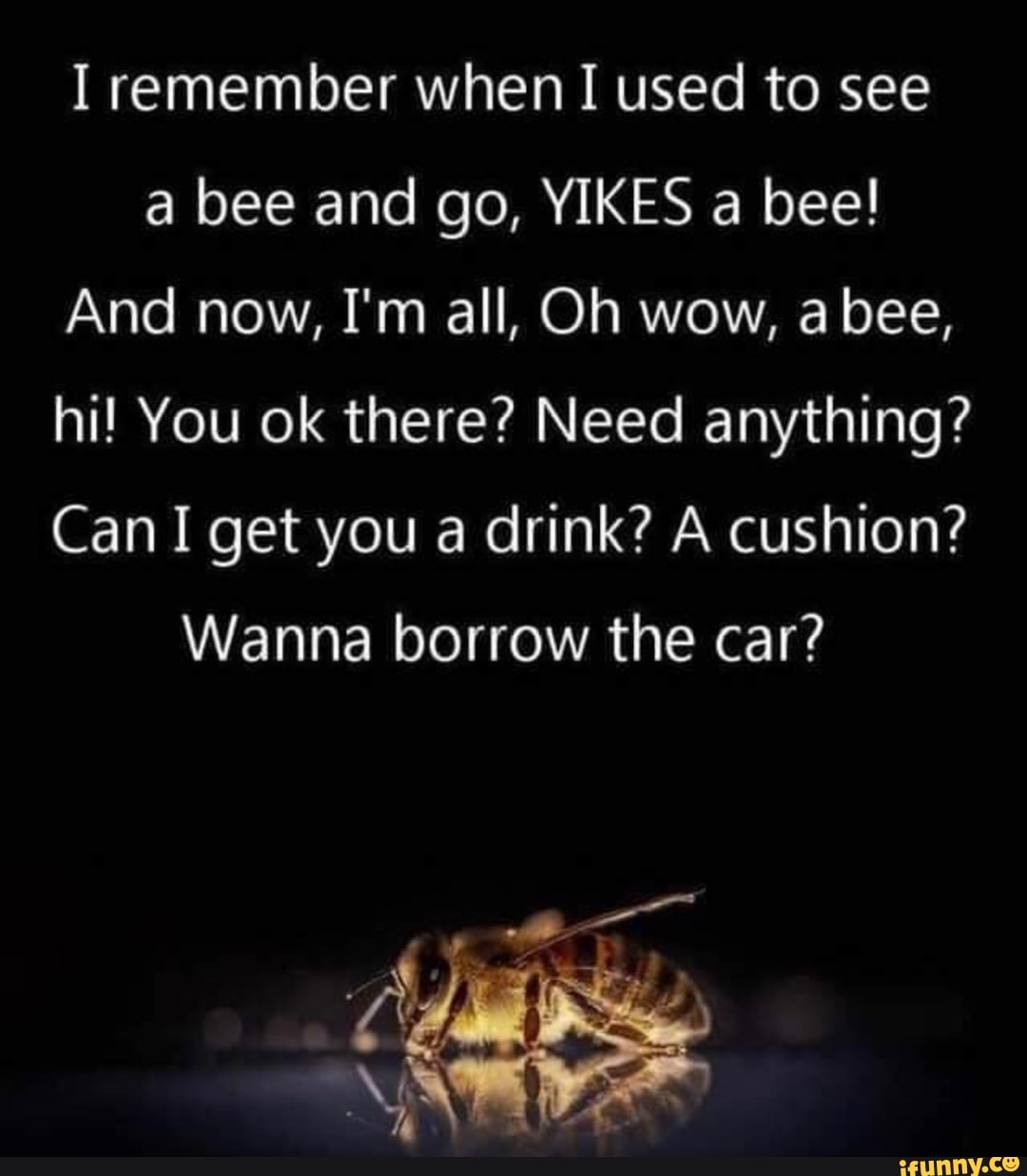 I remember when I used to see a bee and go, YIKES a bee! And now, I'm ...