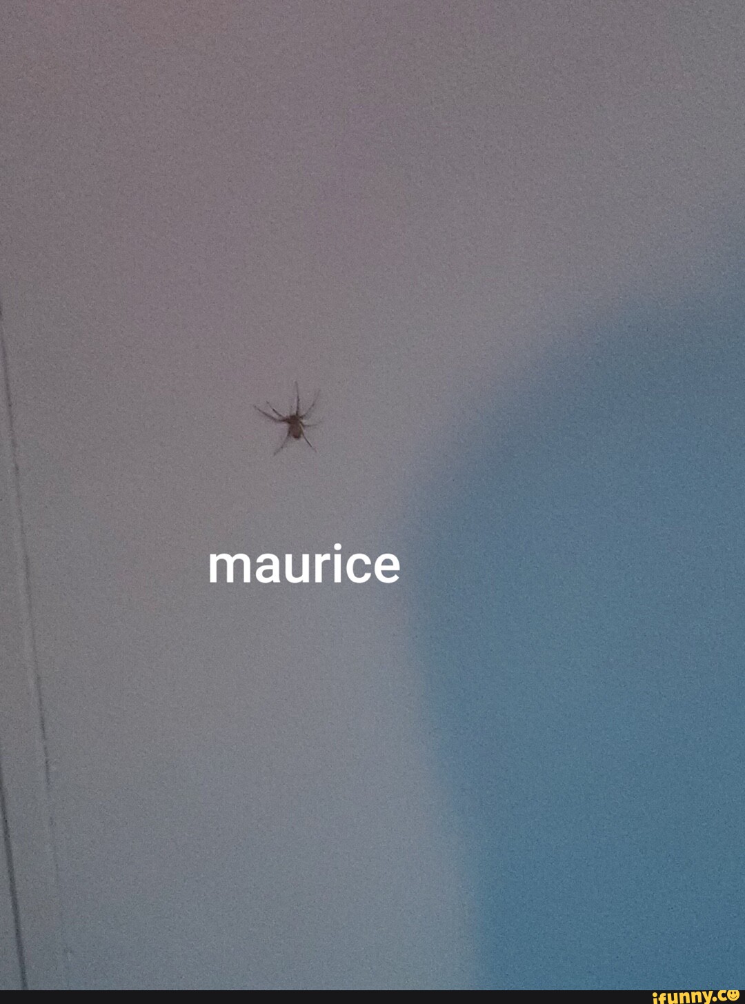 Picture memes zMxUzkqCA by Eel__: 2 comments - iFunny