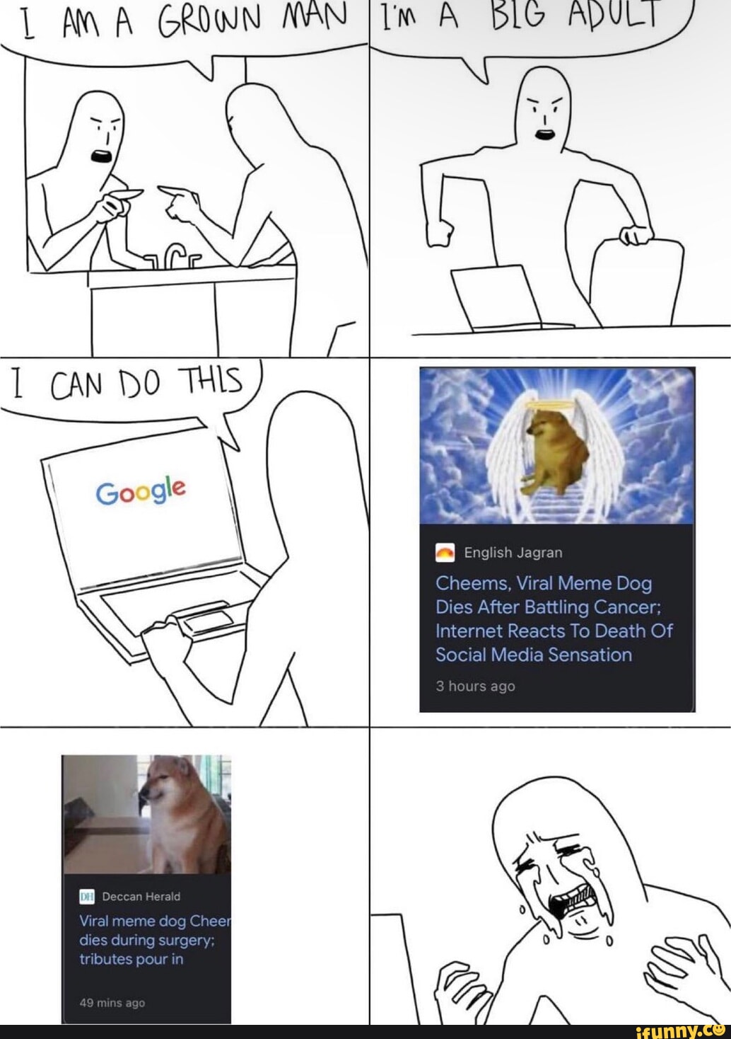 L A GROWN AWN English Jagran Cheems, Viral Meme Dog Dies After Battling ...