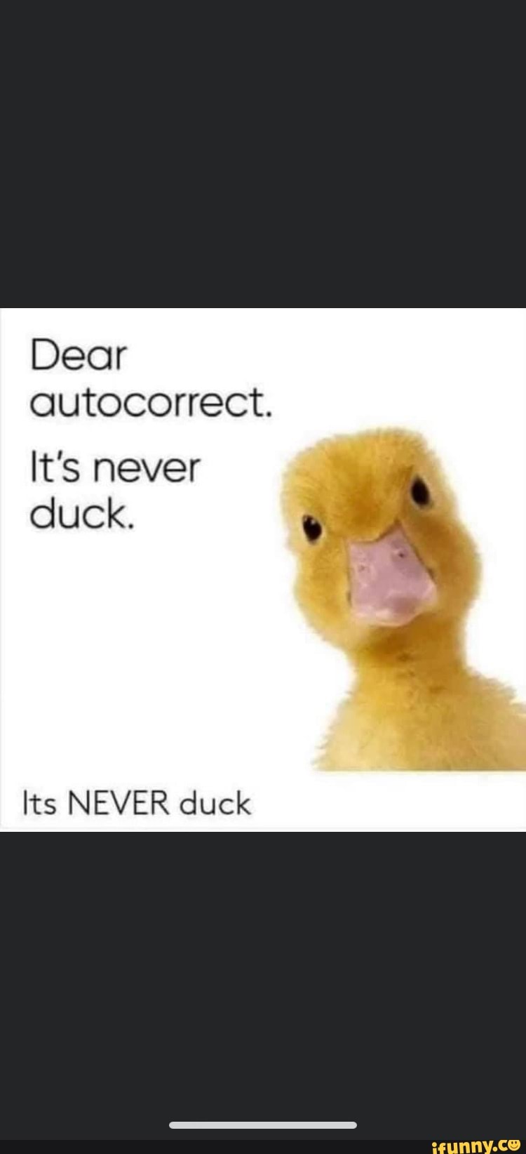 Dear autocorrect. It's never duck. Its NEVER duck - iFunny