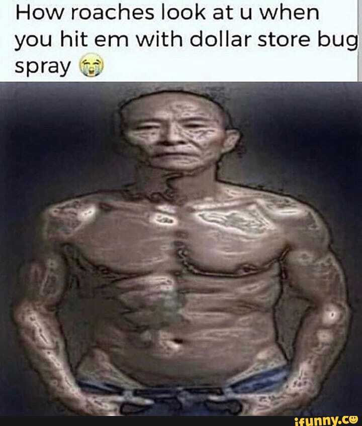 Bug Spray Memes