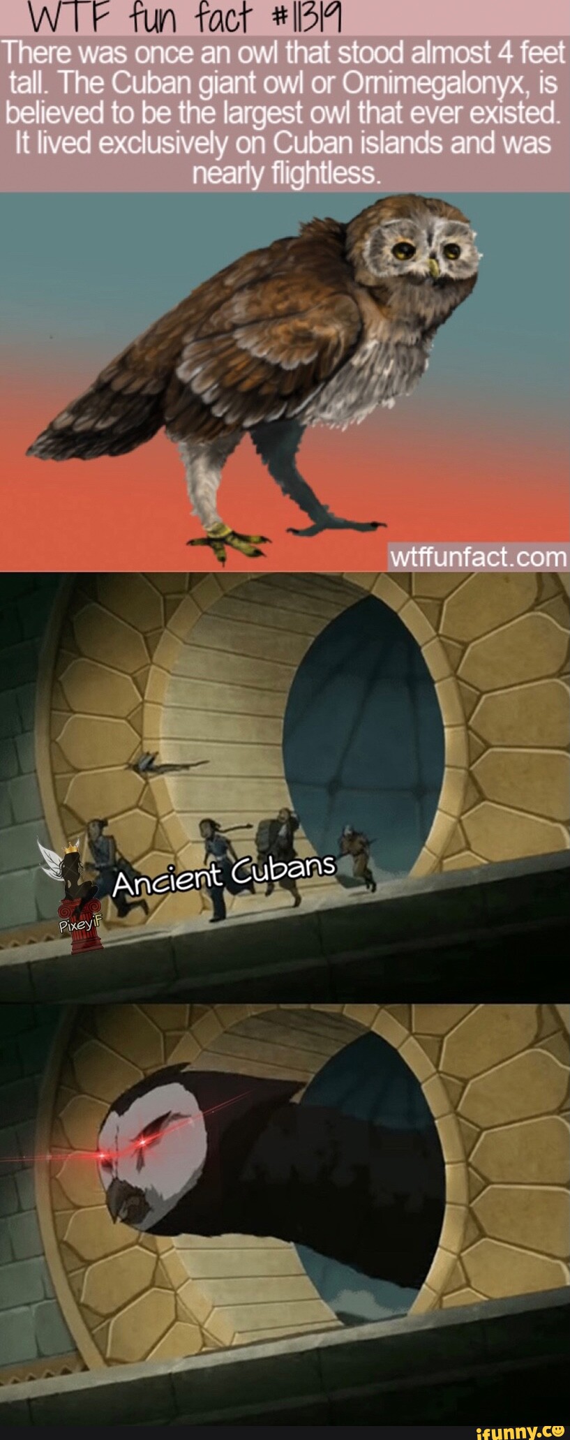 Vaer There was once an owl that stood almost feet tall. The Cuban giant ...