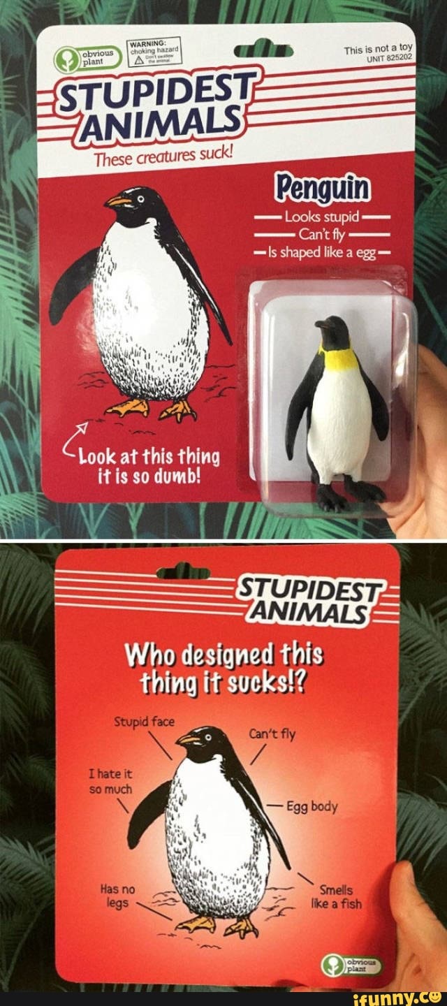 - Looks stupid - - Can' fly ls shaped like a egg - AN at this thing it ...