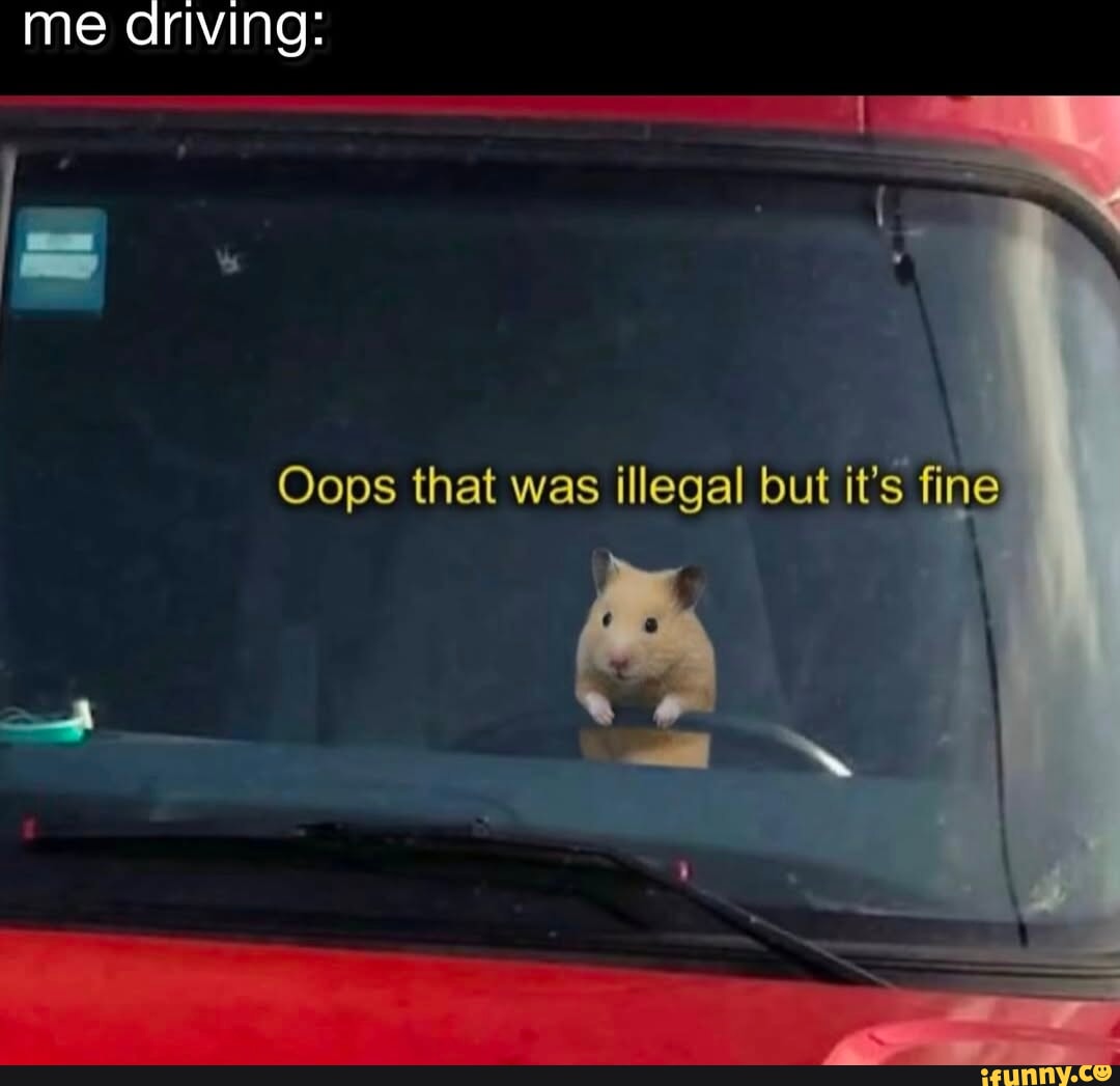 Me ariving: Oops that was illegal but it's fine - iFunny