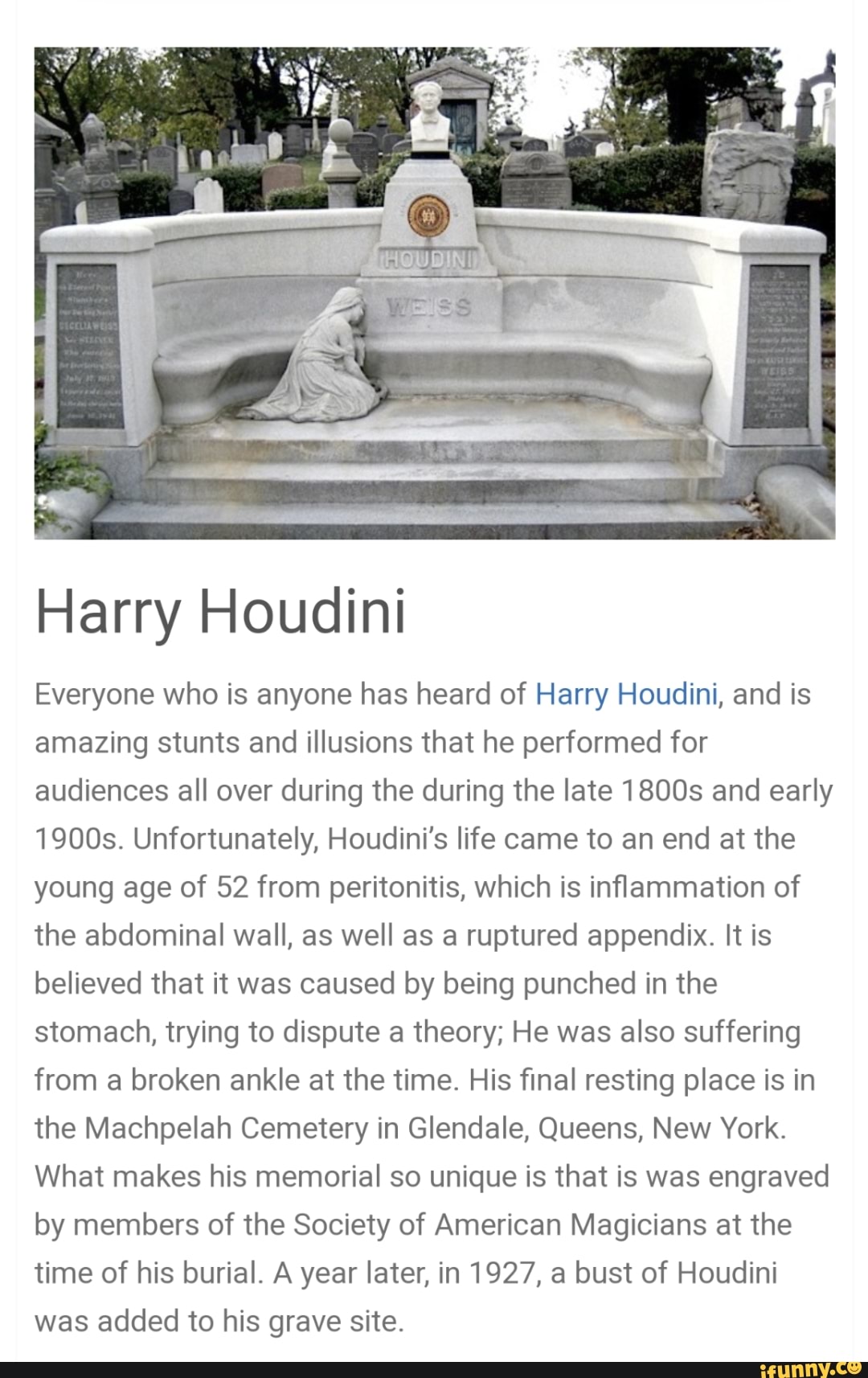 Houdinis memes. Best Collection of funny Houdinis pictures on iFunny
