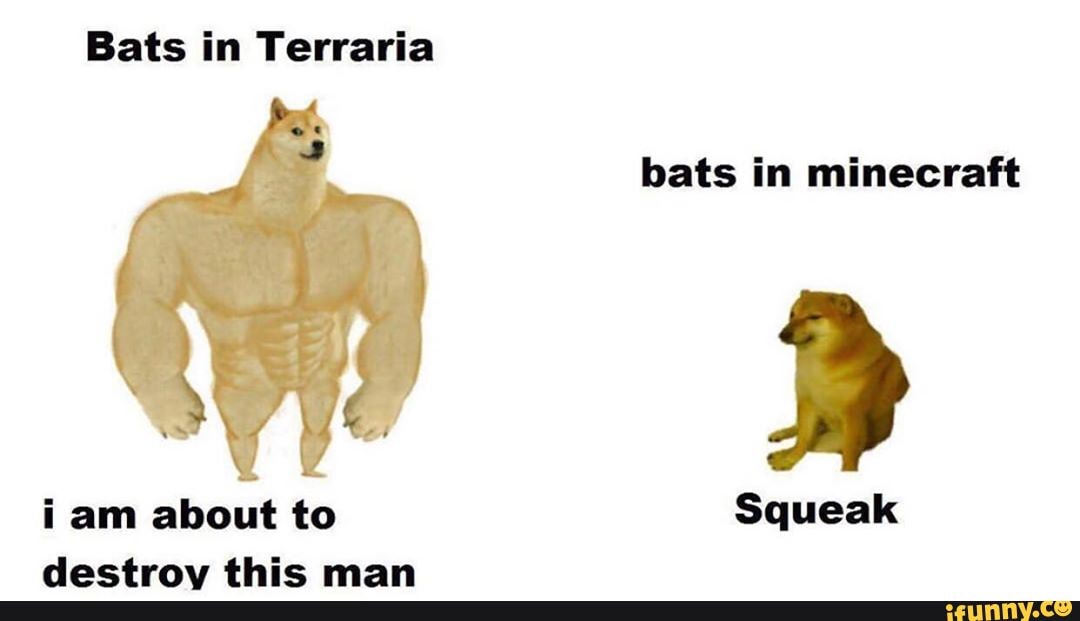 Bats in Terraria bats in minecraft iam about to Squeak dactroav thic ...