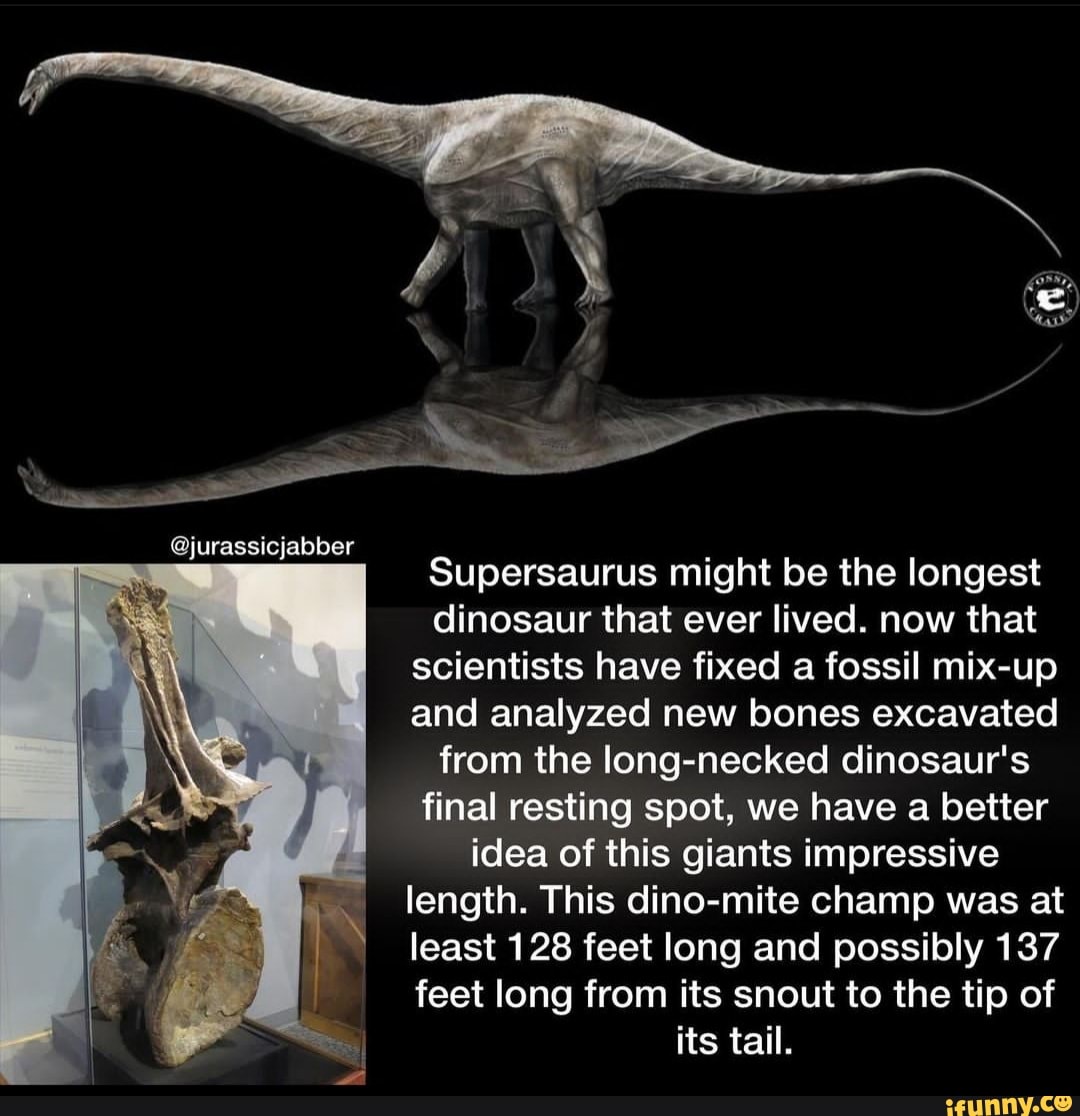 @jurassicjabber Supersaurus might be the longest dinosaur that ever ...