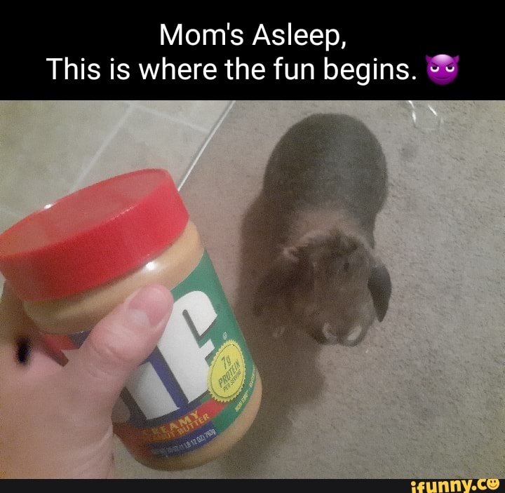 Chomp memes. Best Collection of funny Chomp pictures on iFunny